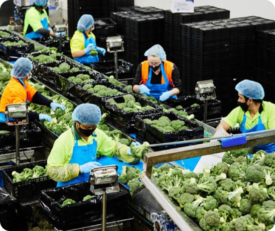 HR and Payroll Software, the True All-in-One | Microkeeper